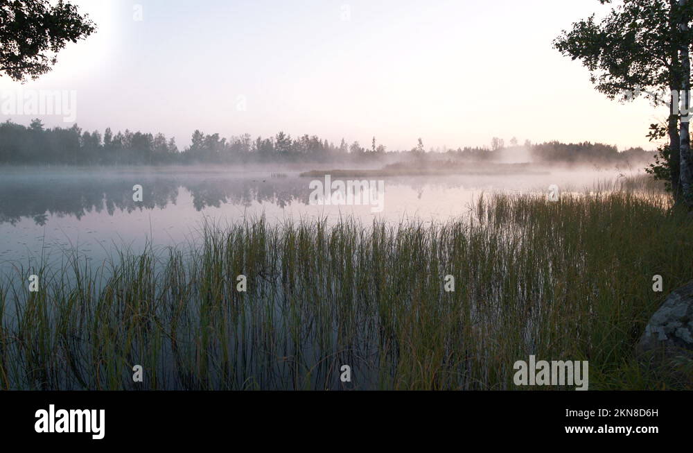 Magical mist Stock Videos & Footage - HD and 4K Video Clips - Alamy