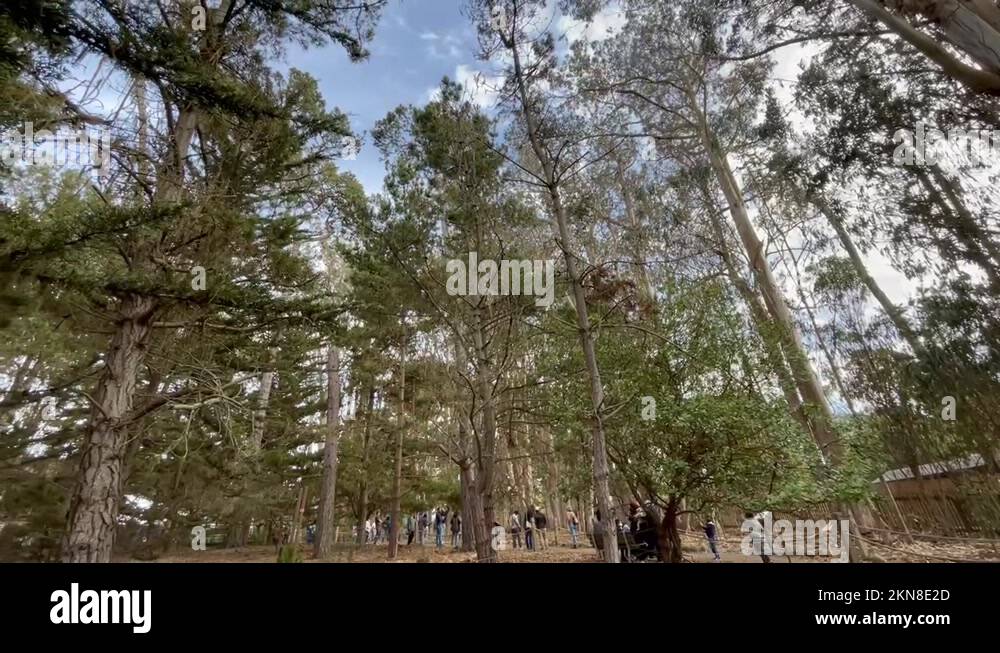 People visiting the Western Monarch Butterfly Sanctuary in Pacific ...
