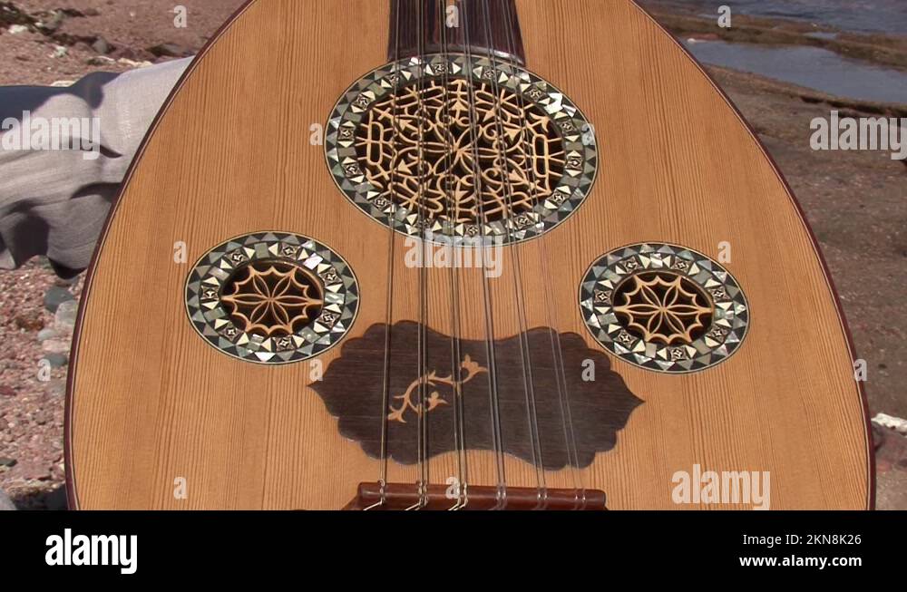 National instrument Stock Videos & Footage - HD and 4K Video Clips - Alamy