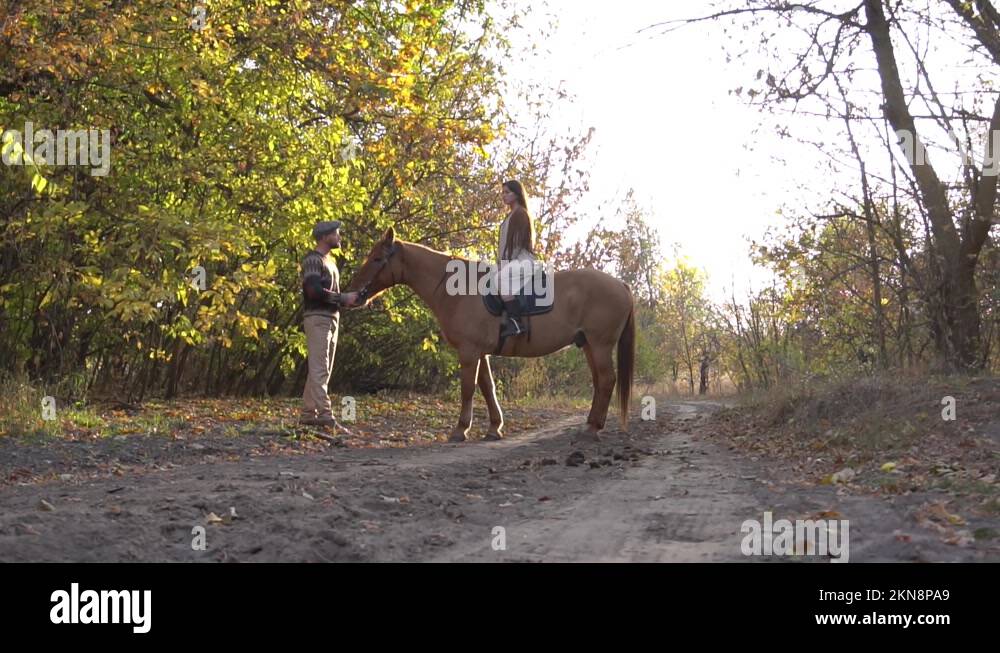Horse having fun Stock Videos & Footage - HD and 4K Video Clips - Alamy