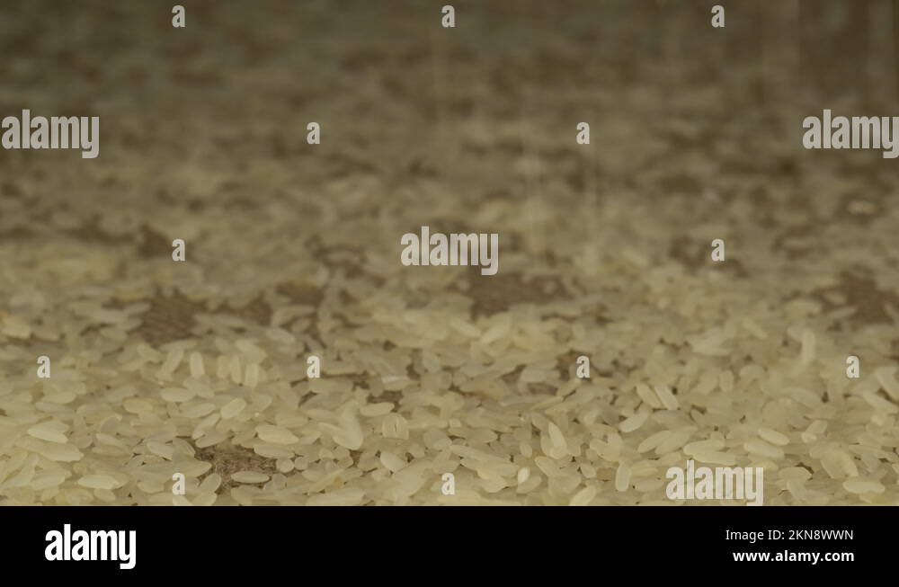 Close up rice grains Stock Videos & Footage - HD and 4K Video Clips - Alamy