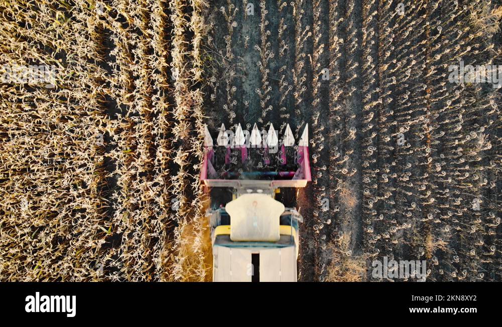 Vertical land movement Stock Videos & Footage - HD and 4K Video Clips ...