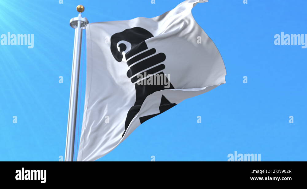 Flag basel flag Stock Videos & Footage - HD and 4K Video Clips - Alamy
