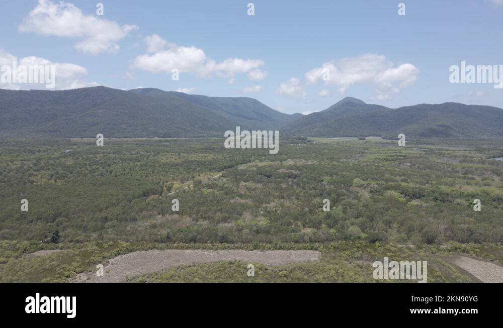 Vast Green Woodland Of Trinity Forest Reserve In East Trinity ...