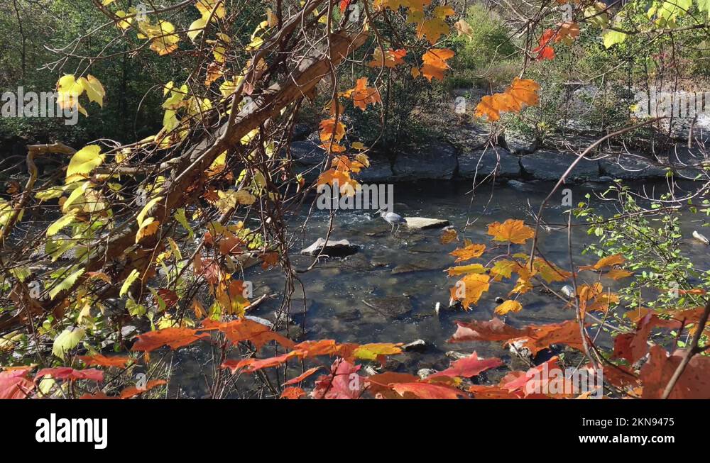 Don valley river Stock Videos & Footage - HD and 4K Video Clips - Alamy