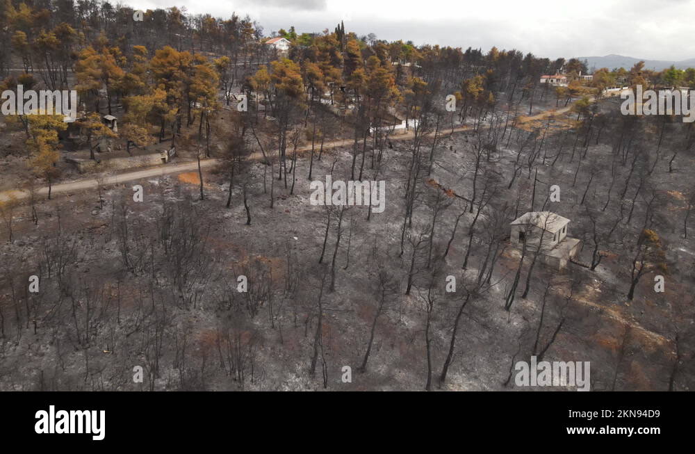 Wildfires Aftermath, Aerial View of Burned Forest and Abandoned Houses ... Wildfires Aftermath, Aerial View of Burned Forest and Abandoned Houses ...