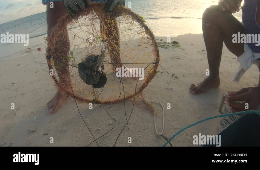 Fishing instruments Stock Videos & Footage - HD and 4K Video Clips - Alamy