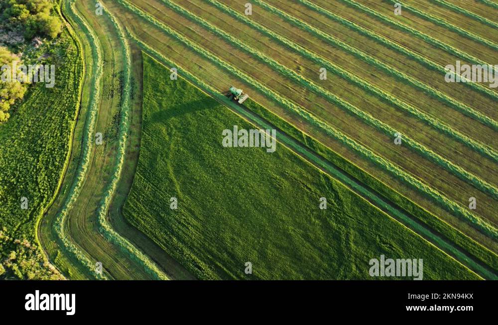Combining crop Stock Videos & Footage - HD and 4K Video Clips - Alamy