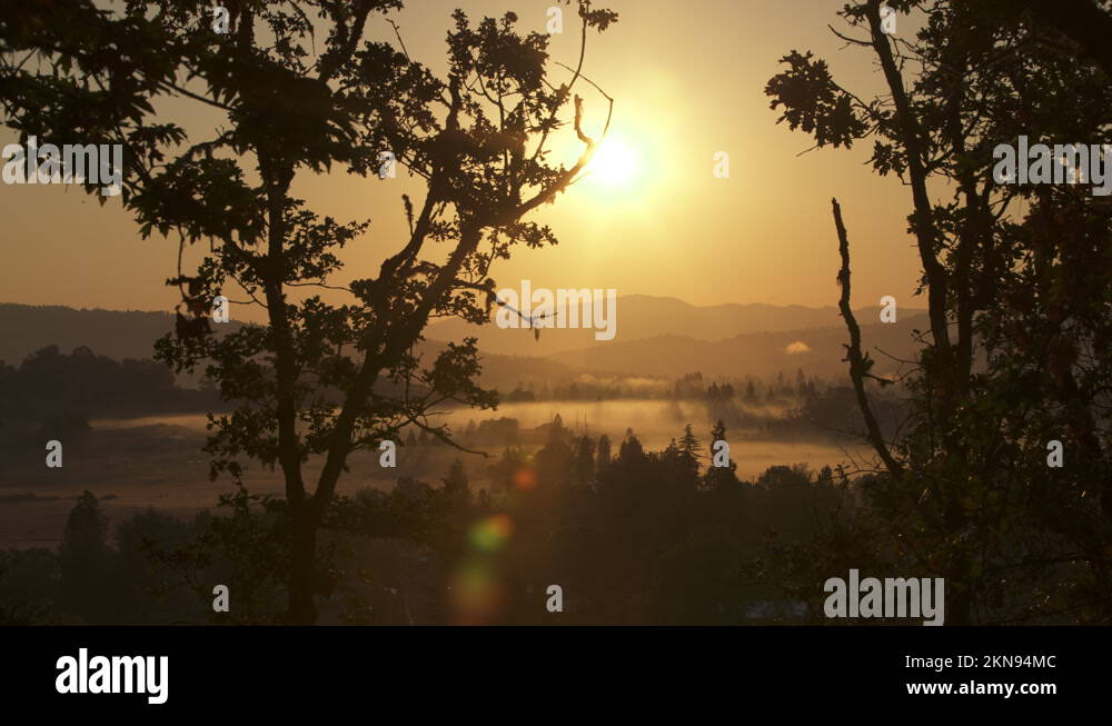 Misty farm Stock Videos & Footage - HD and 4K Video Clips - Alamy