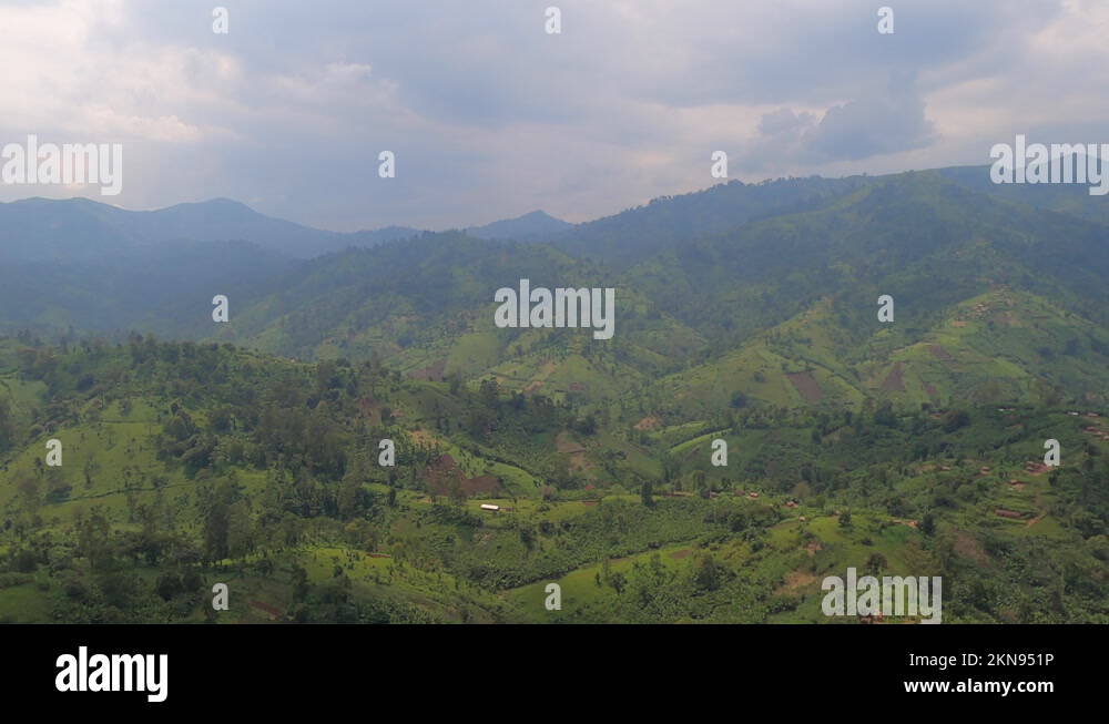 Congo jungle not rainforest Stock Videos & Footage - HD and 4K Video ...