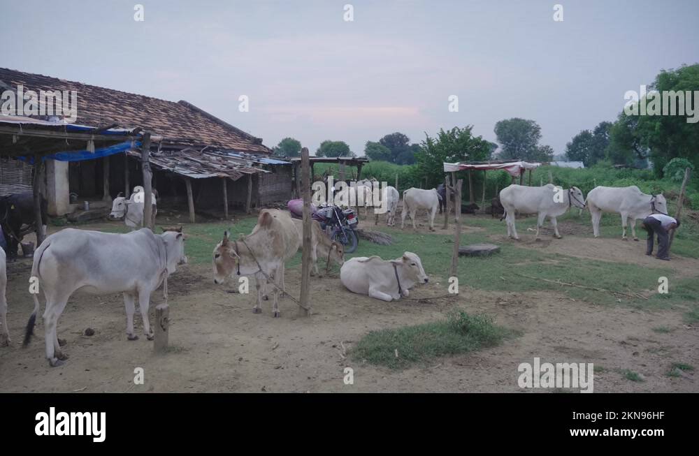 Village farm house Stock Videos & Footage - HD and 4K Video Clips - Alamy