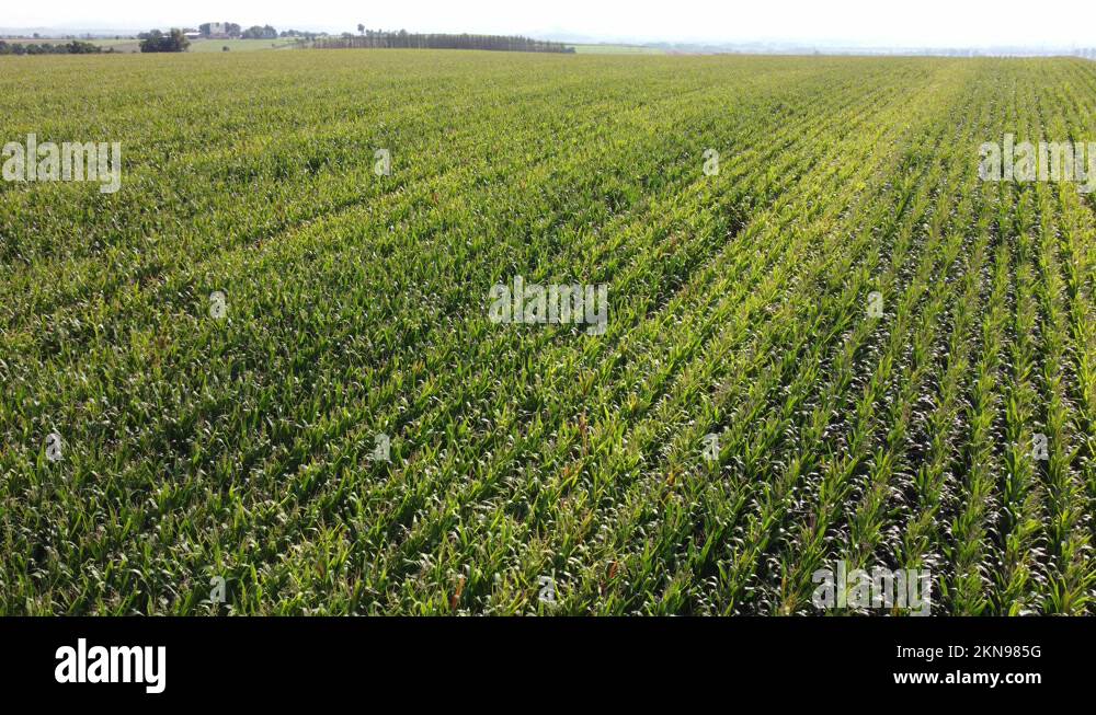 Field from top Stock Videos & Footage - HD and 4K Video Clips - Alamy