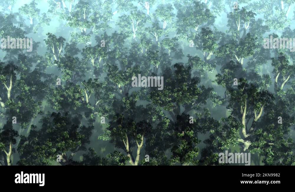 Animated background of an aerial footage of the rain forest.A vast and ...