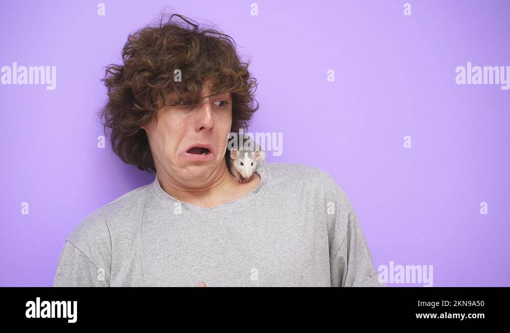 A young guy with a lush hairstyle on an isolated background looks ...