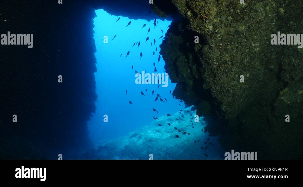 cave diving underwater exploring ocean scenery sun beams and rays ...