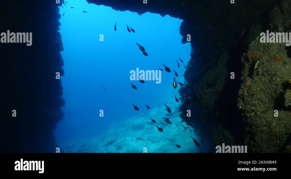cave diving underwater exploring ocean scenery sun beams and rays ...