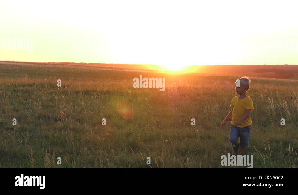 Boys play football on a green lawn at sunset, a football field, a kid ...