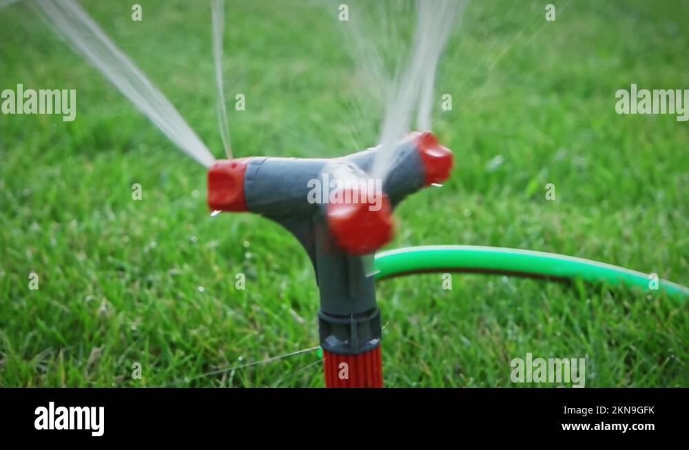 Slow motion of sprinkler head spinning and spreading water all over the ...