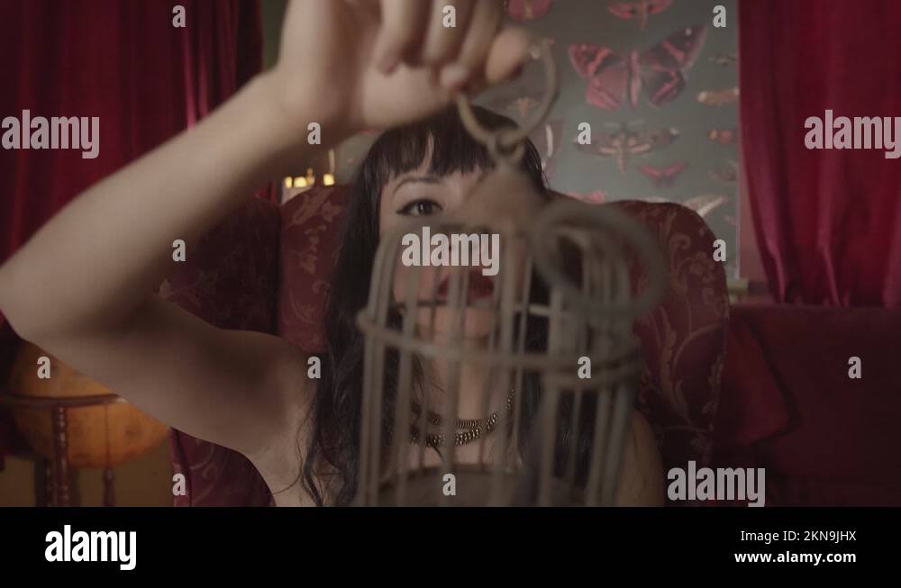 Cage symbolism Stock Videos & Footage - HD and 4K Video Clips - Alamy