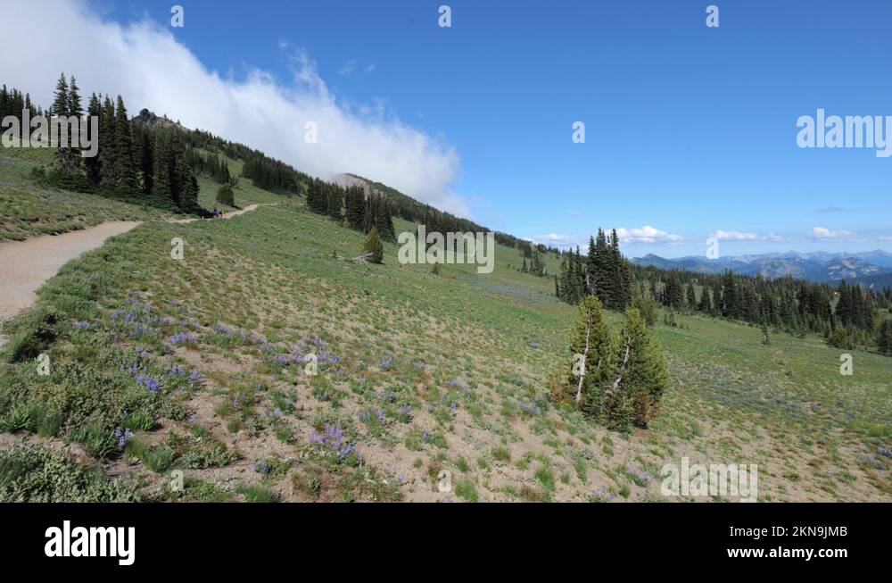 Alpine ridge trail Stock Videos & Footage - HD and 4K Video Clips - Alamy