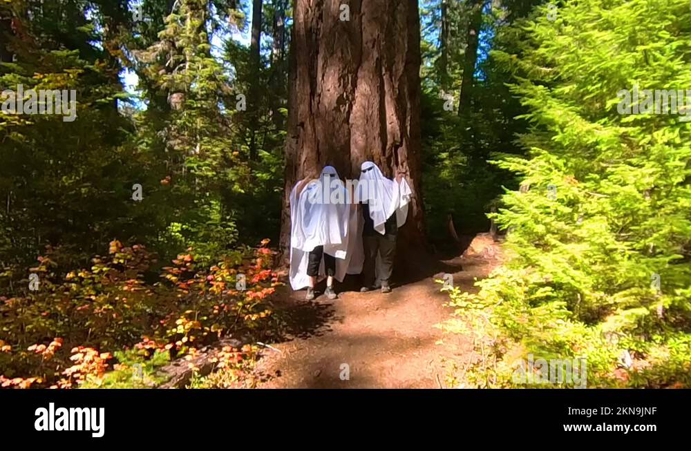 Two people dancing as ghosts as the camera tilts up showing the massive ...
