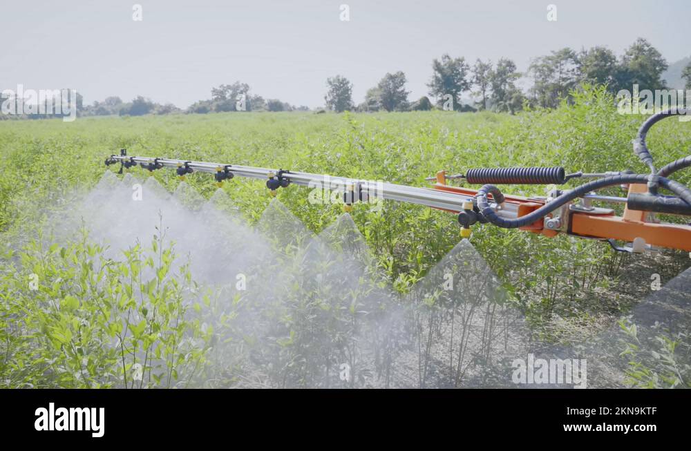 agricultural machine vehicle is spraying Pesticides in farming field in ...