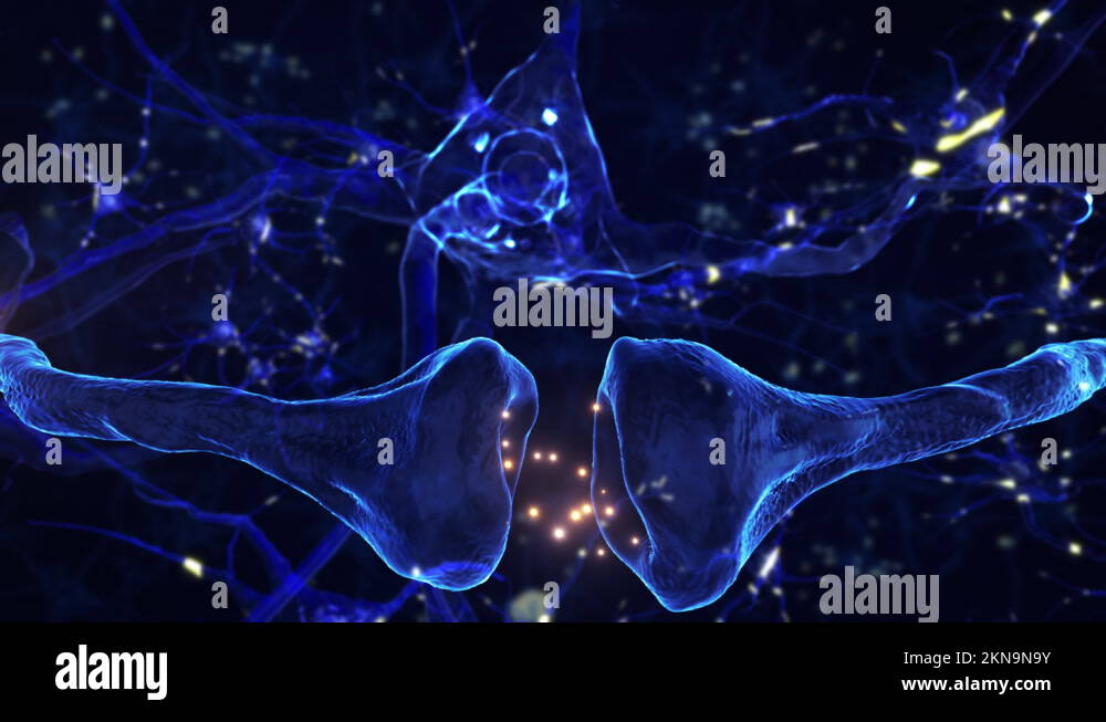 Parkinson nerve cells Stock Videos & Footage - HD and 4K Video Clips ...
