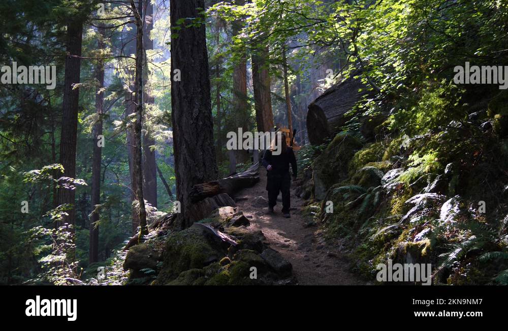 Rainforest hikes Stock Videos & Footage - HD and 4K Video Clips - Alamy