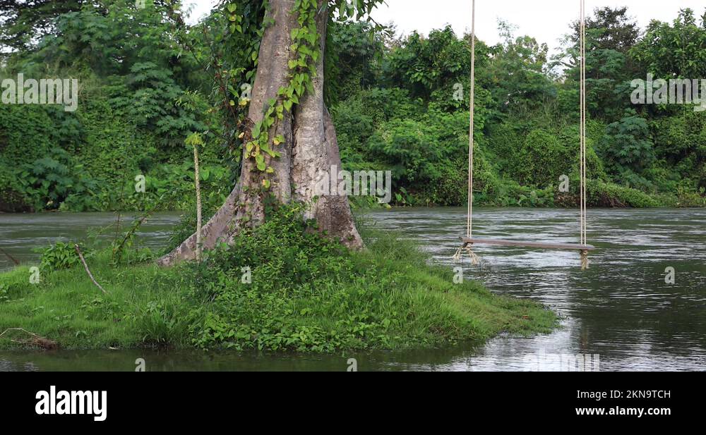 Rope tree swing close Stock Videos & Footage - HD and 4K Video Clips ...