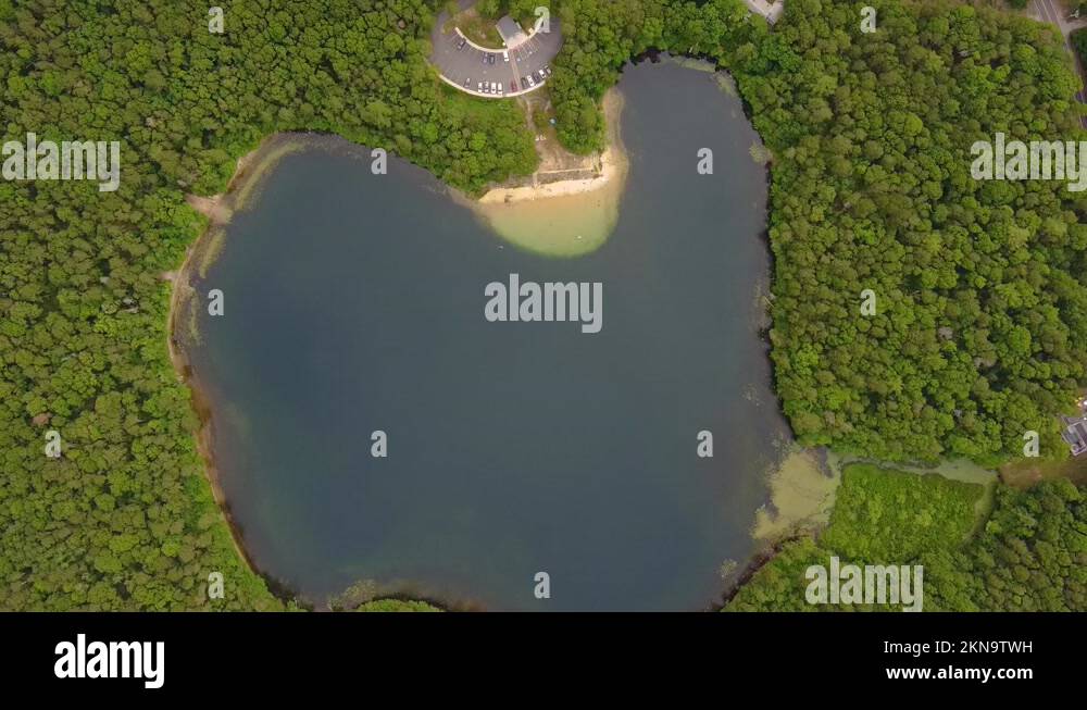 Bird's eye view of Joshua Pond surrounded by a dense forest in Stock ...