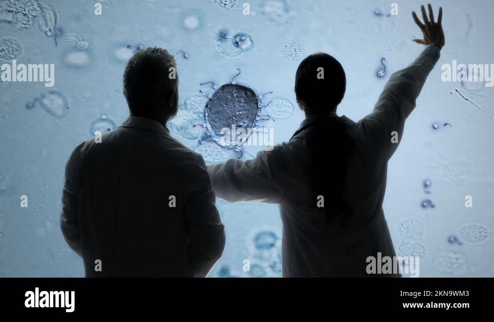 Sperm egg microscope Stock Videos & Footage - HD and 4K Video Clips - Alamy