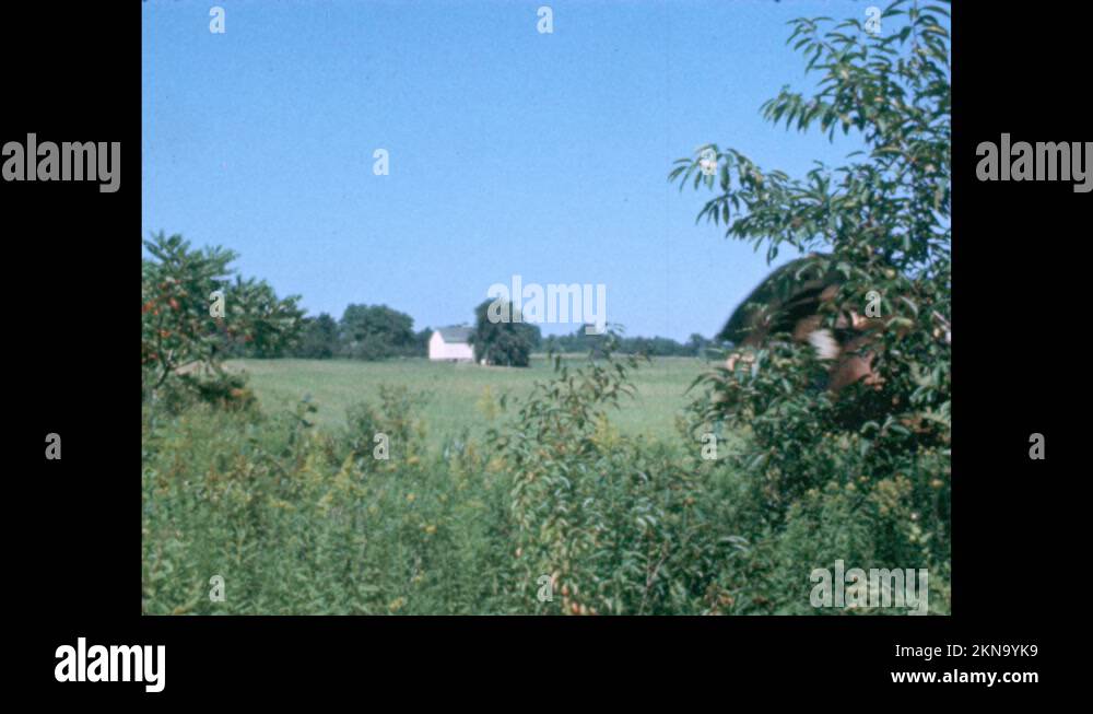 Historical farm 1700s Stock Videos & Footage - HD and 4K Video Clips ...