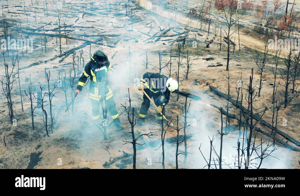 Two firemen are handling remains of the forest fire. Firefighter ...
