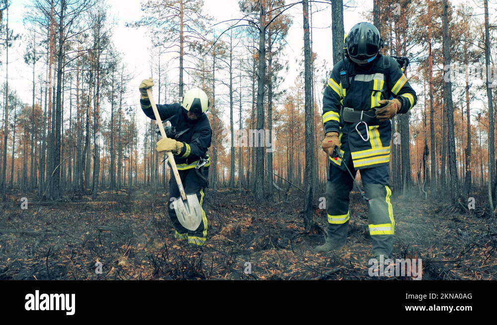 Firefighter at forest fire Stock Videos & Footage - HD and 4K Video ...