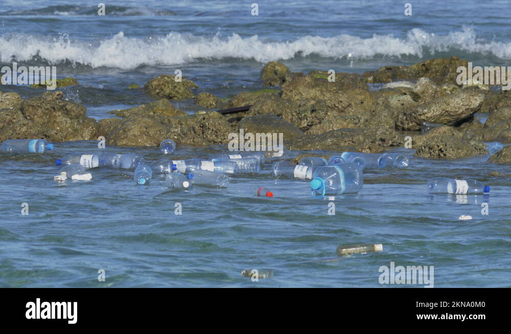 A lot of plastic debris floats in the coastal zone of a tropical island ...