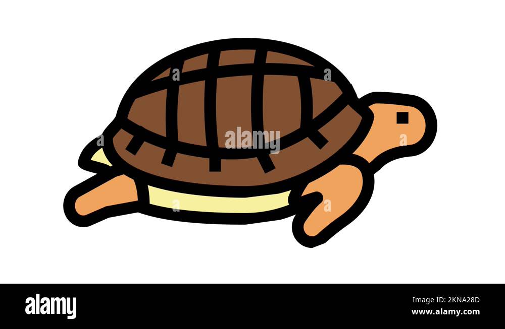 turtle pet color icon animation Stock Video Footage - Alamy