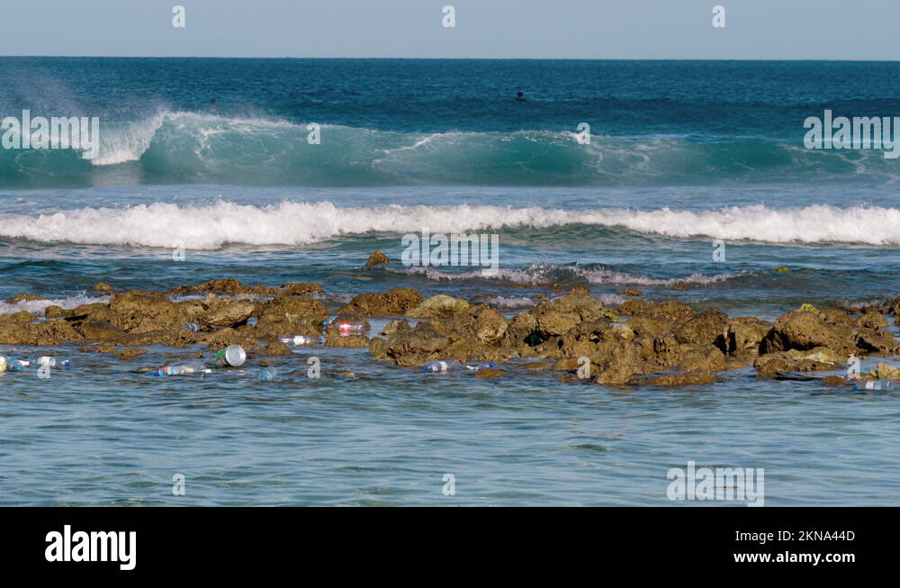 A lot of plastic debris floats in the coastal zone of a tropical island ...