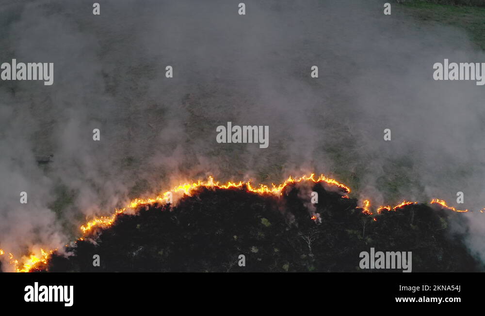 Environment disaster smoke burning flames Stock Videos & Footage - HD ...