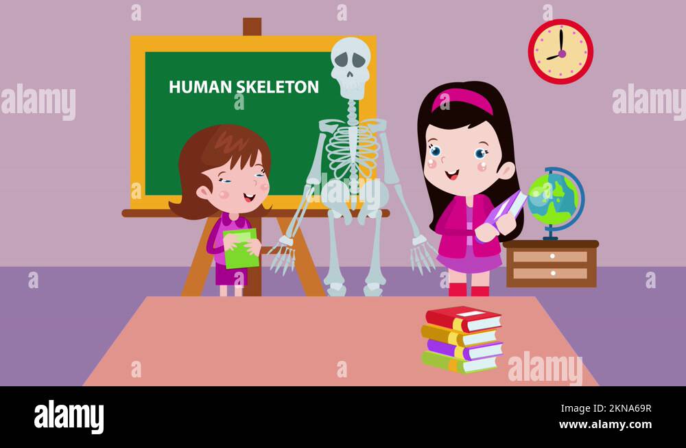 Two schoolgirls learning human skeleton in class Stock Video Footage ...