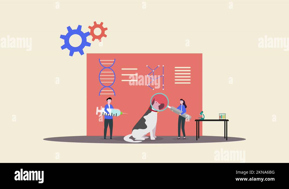 Dog experiment scientist Stock Videos & Footage - HD and 4K Video Clips ...