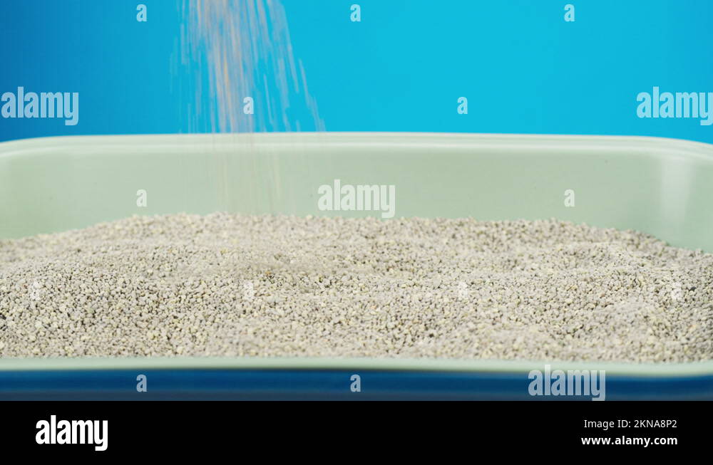 Clay filler Stock Videos & Footage - HD and 4K Video Clips - Alamy