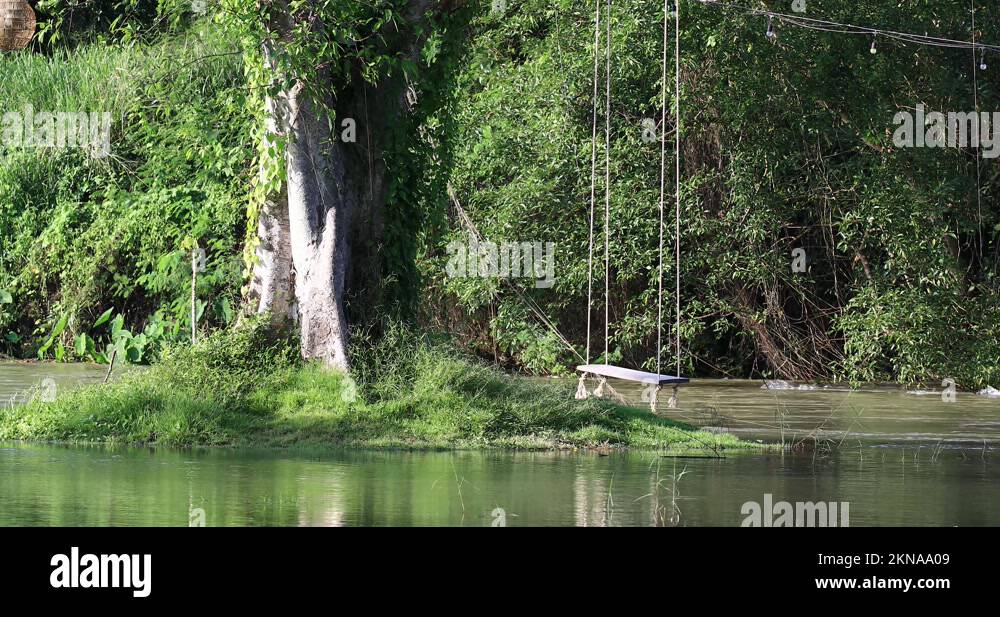 4K Tree Surrounded with Flowing River Water and Rope Swing with ...