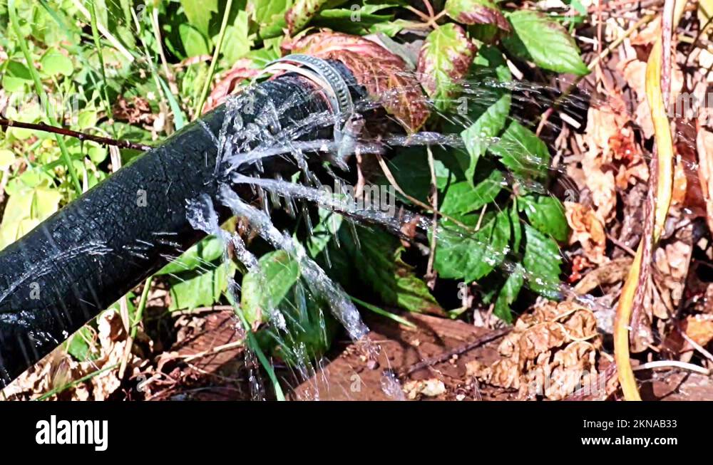 Clean water discharge Stock Videos & Footage - HD and 4K Video Clips ...