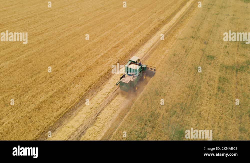 Crop barley Stock Videos & Footage - HD and 4K Video Clips - Alamy