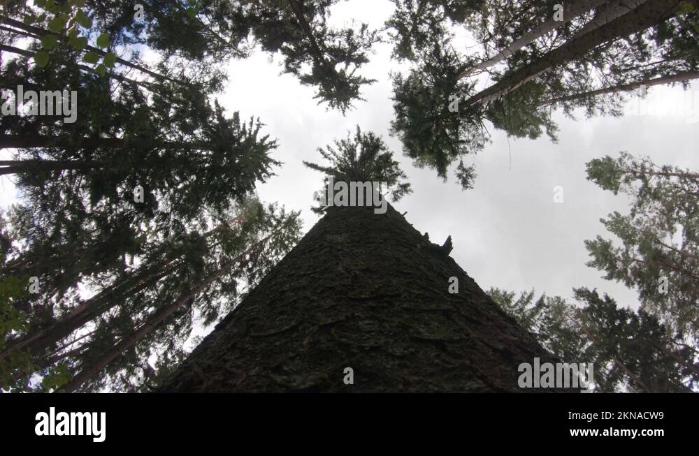 Resourceextraction Stock Videos & Footage - HD and 4K Video Clips - Alamy