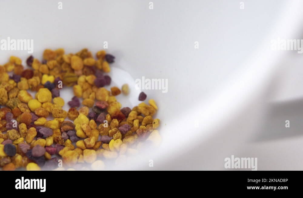 Fermented pollen Stock Videos & Footage - HD and 4K Video Clips - Alamy