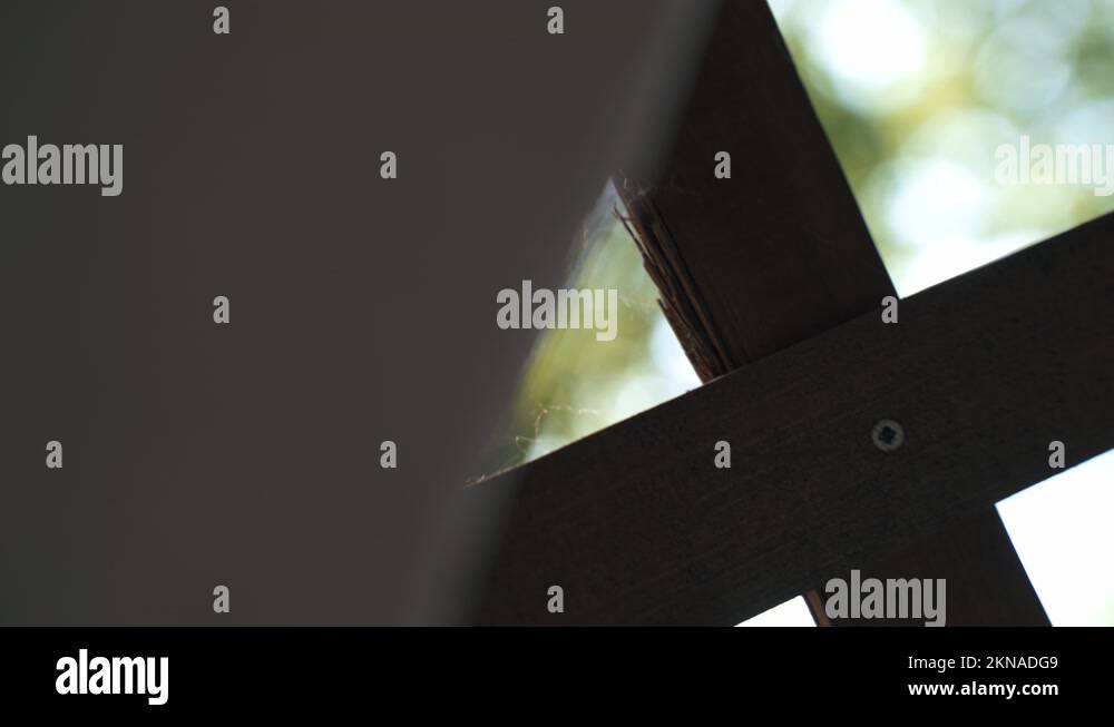 Spider mesh Stock Videos & Footage - HD and 4K Video Clips - Alamy
