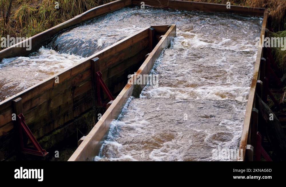 Fish spawning route in Latvia. People built a spawning river for trout ...
