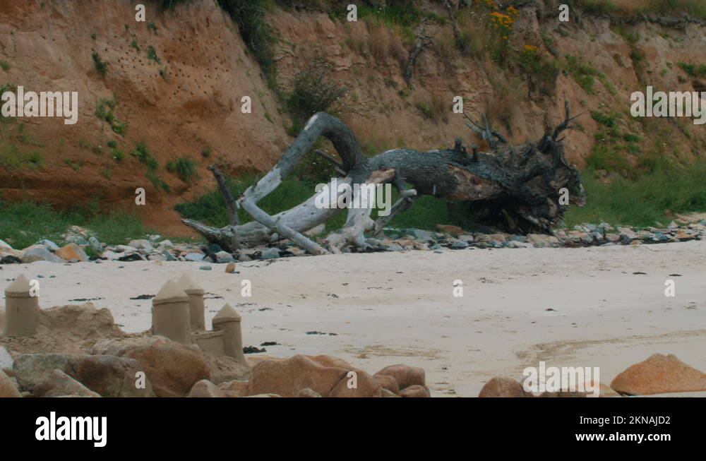 Little sand Stock Videos & Footage - HD and 4K Video Clips - Alamy