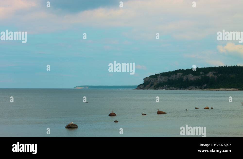 Coast of gotland Stock Videos & Footage - HD and 4K Video Clips - Alamy
